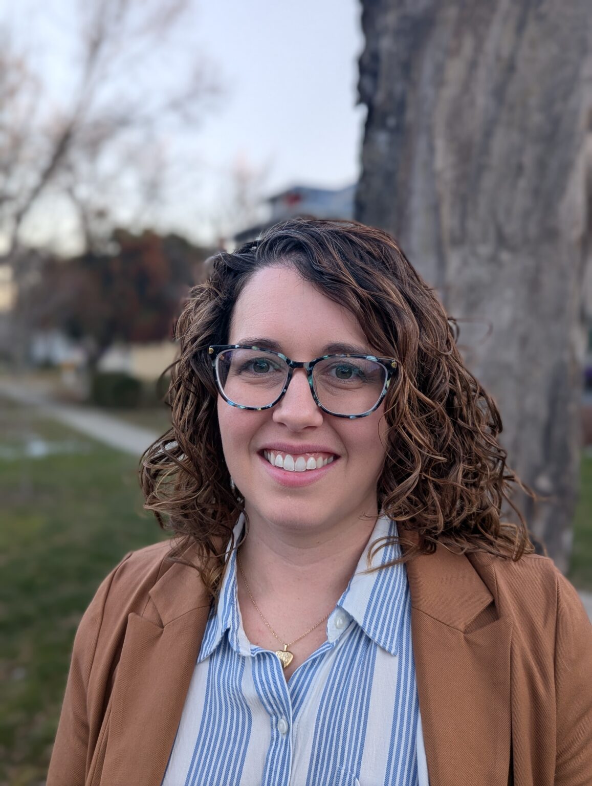 Revisión y Cumplimiento – DHR